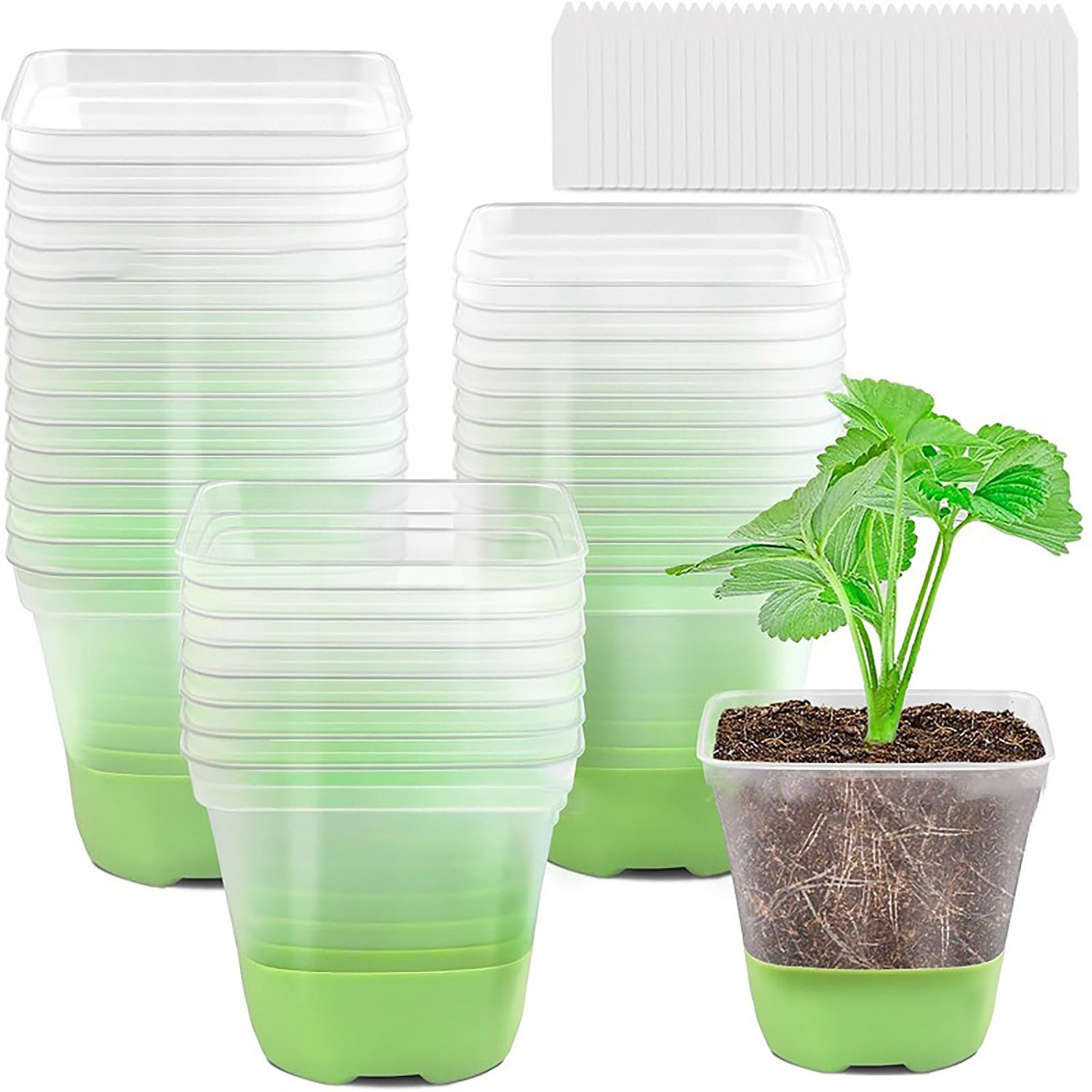sunsanly 6/12Pcs Silicone Nursery Pot Clear Square Plant Pots with ...