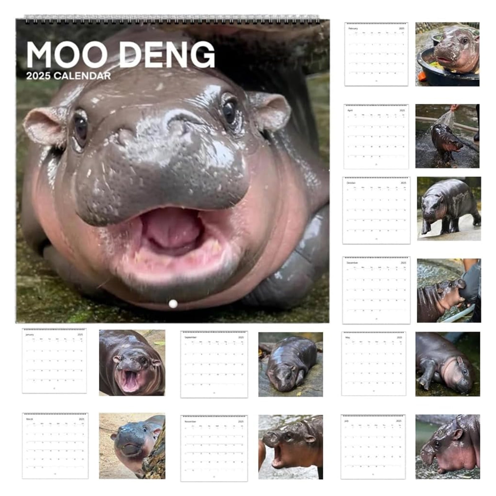 sunsanly Moo Deng Hippo 2025 Calendar 12-Month Pygmy Hippo Wall ...