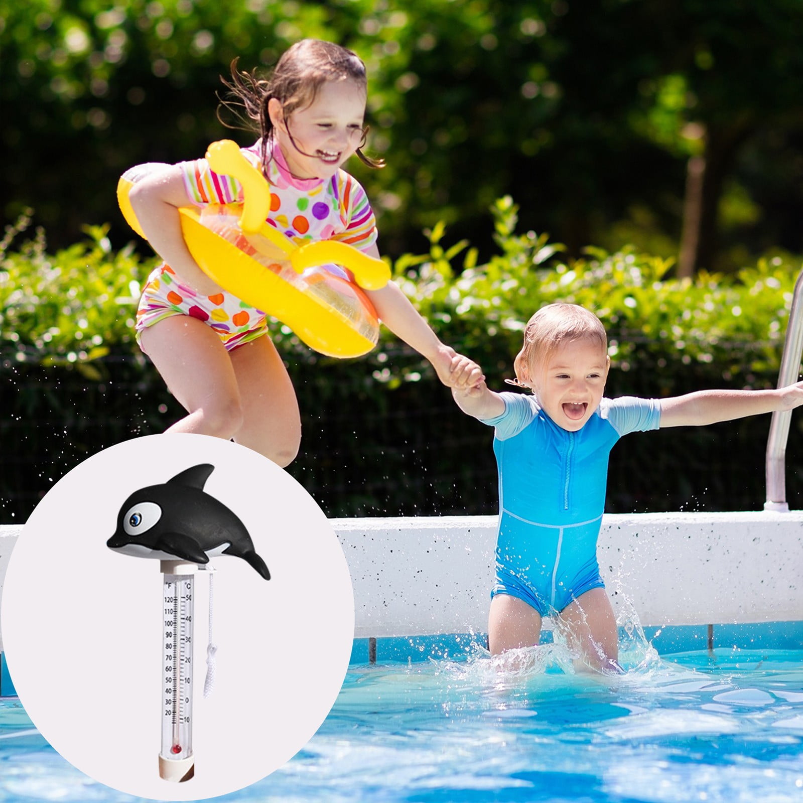 swimming pool net Dolphin Shaped Pool Floating Water Temperature Gauge ...