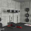 Century Versaflex 2.0 Home Gym Equipment: Steel Frame Fitness Leg ...