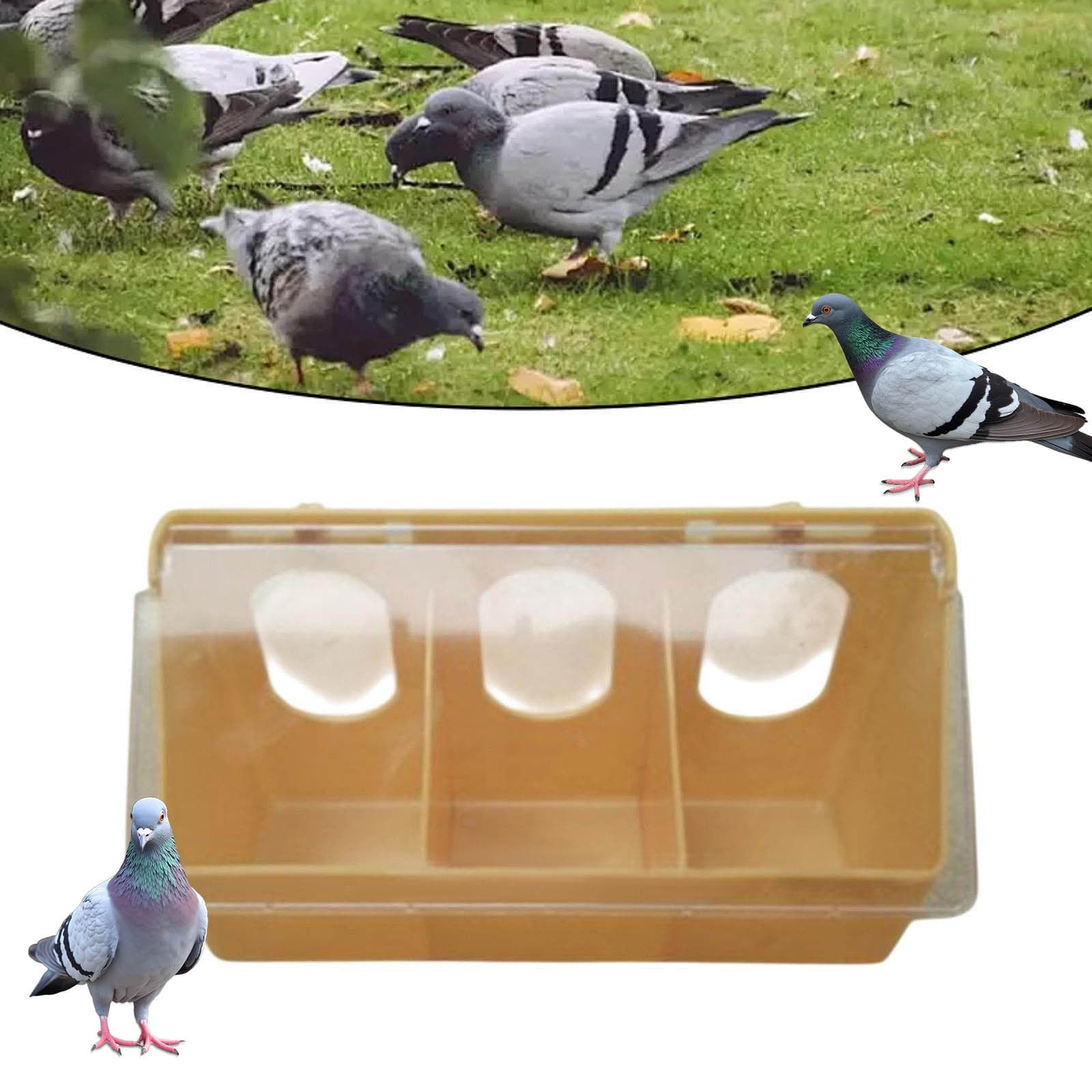 syytpdjjd Bird Feeder Parrot Feeder Slot Feeder For Cage Food Container ...