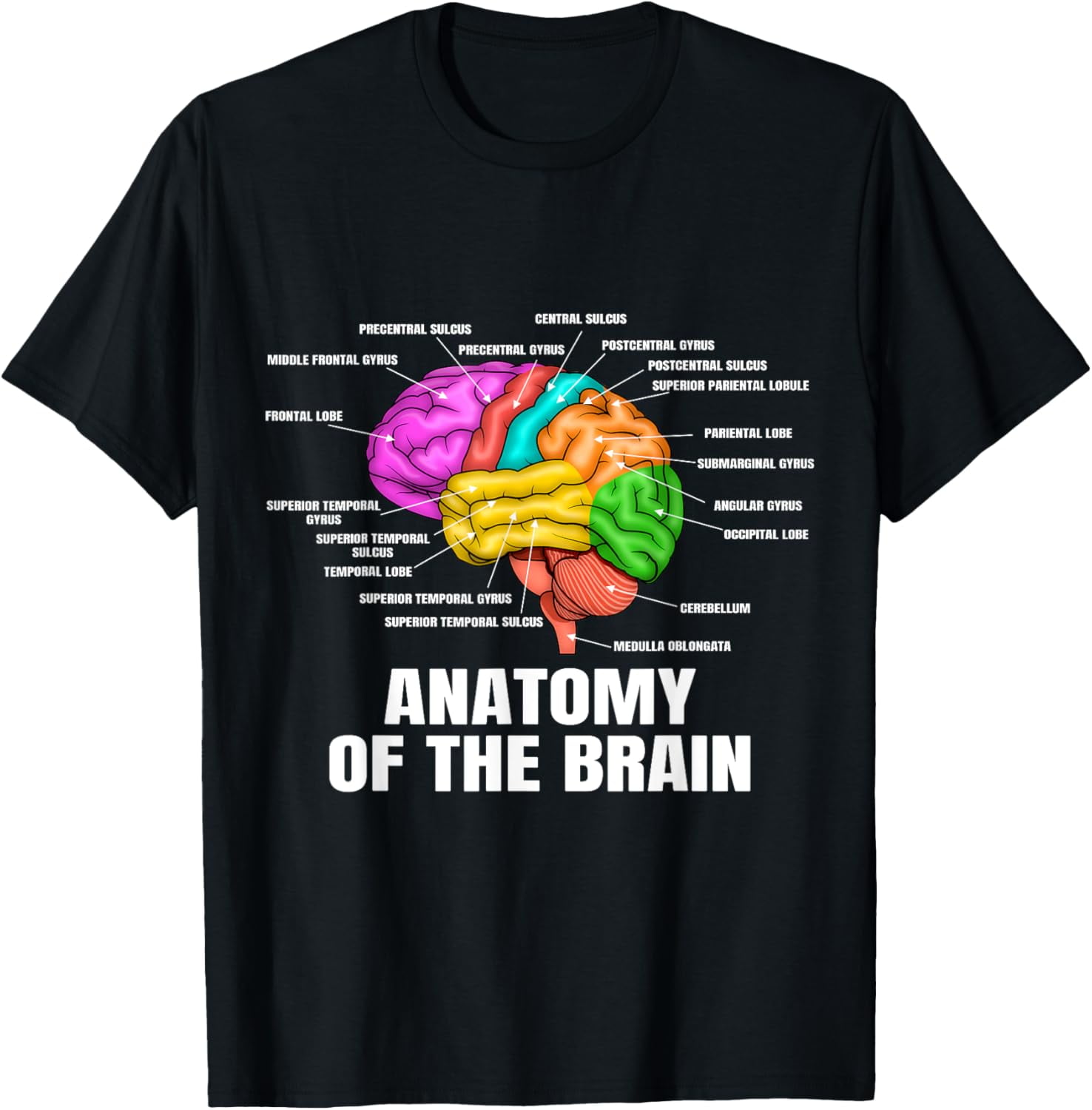 t-shirt Anatomy Of The Brain - Medical Science and Physiology T-Shirt ...