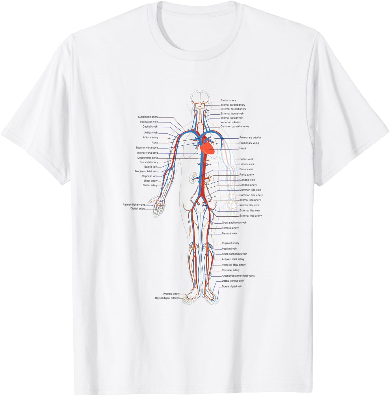 t-shirt Circulatory System Anatomy Chart Arteries Veins T-ShirtMen and ...