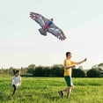 taicans Eagle Kite Strong Eagles Huge Beginner Eagle Kites for Children ...