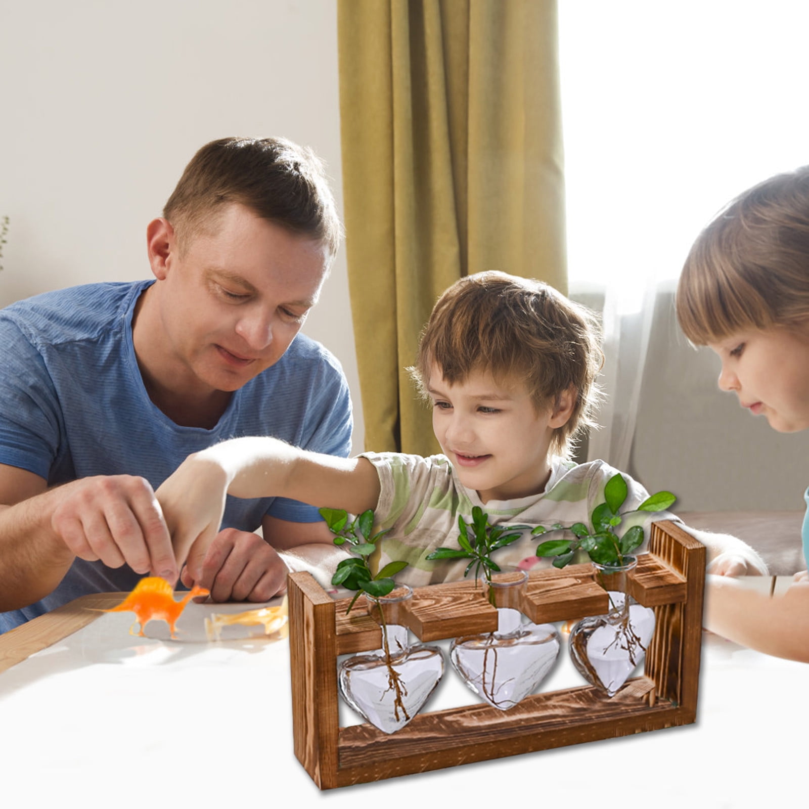 taicans Plant Terrarium with Wooden Stand,Glass Bulb Vases Plant ...