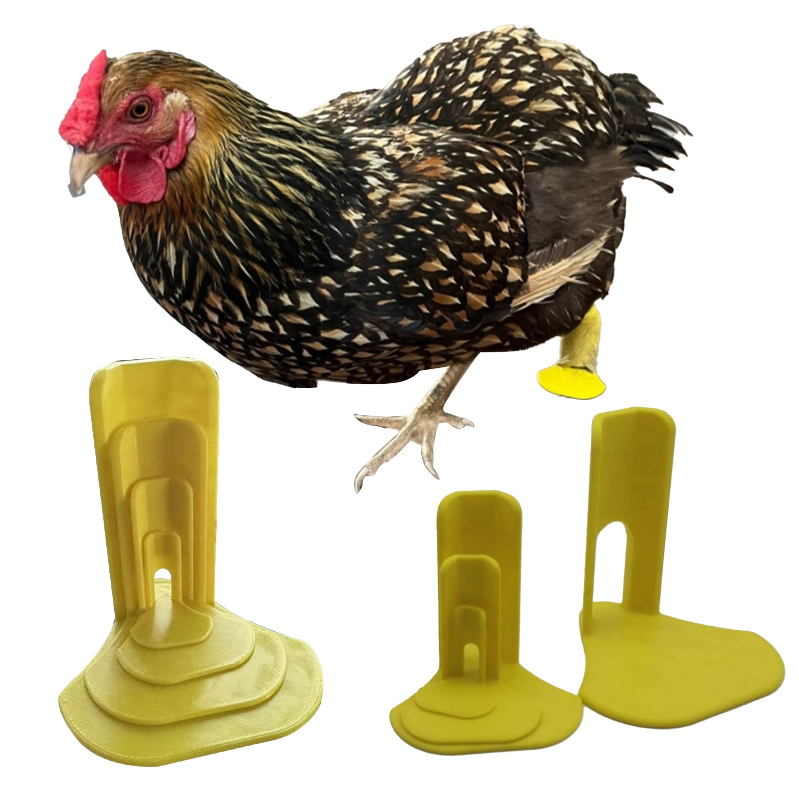 tasrioml 4Pcs/Set Chick Splay Leg Brace Hobble Splint Poultry First Aid ...