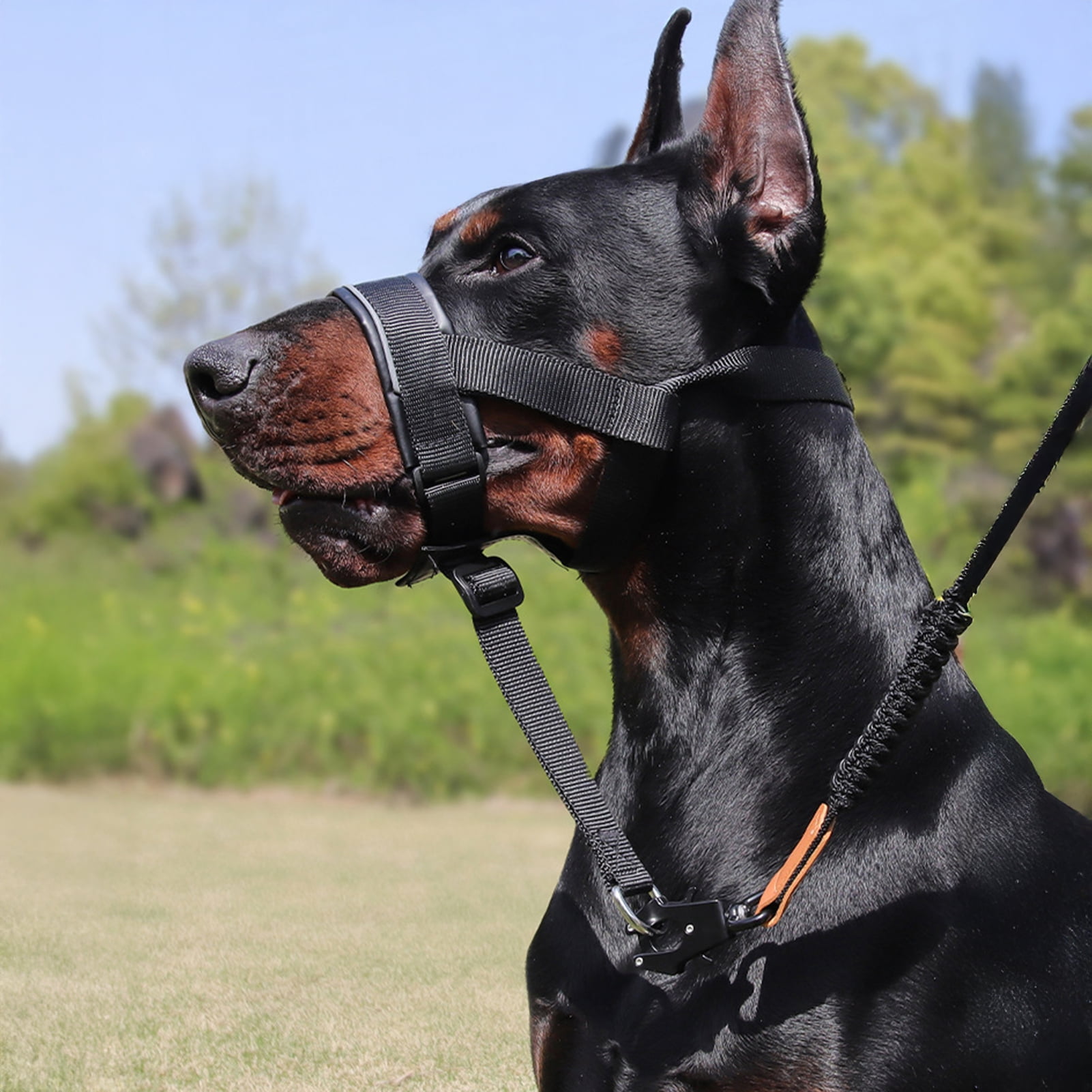 tasrioml No-Pull Dog Head Collar Adjustable Dog Head Halter with Padded ...