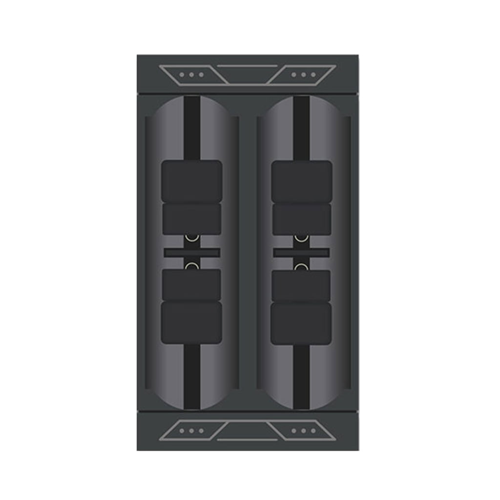 tegongse Button Cell Charger for LIR2450 LIR2477 MultiSlot Battery ...