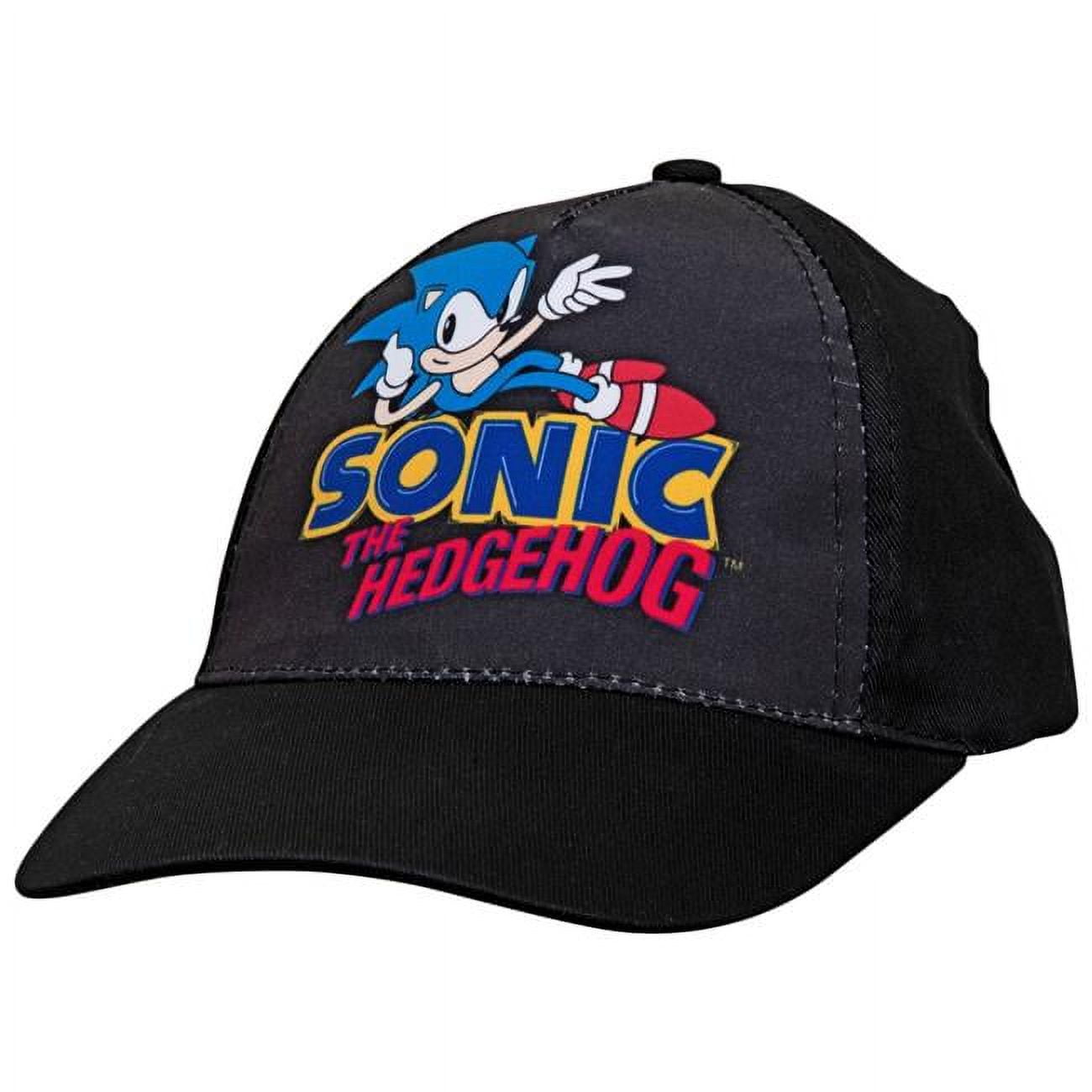 the Hedgehog Classic Snapback Hat - Walmart.com