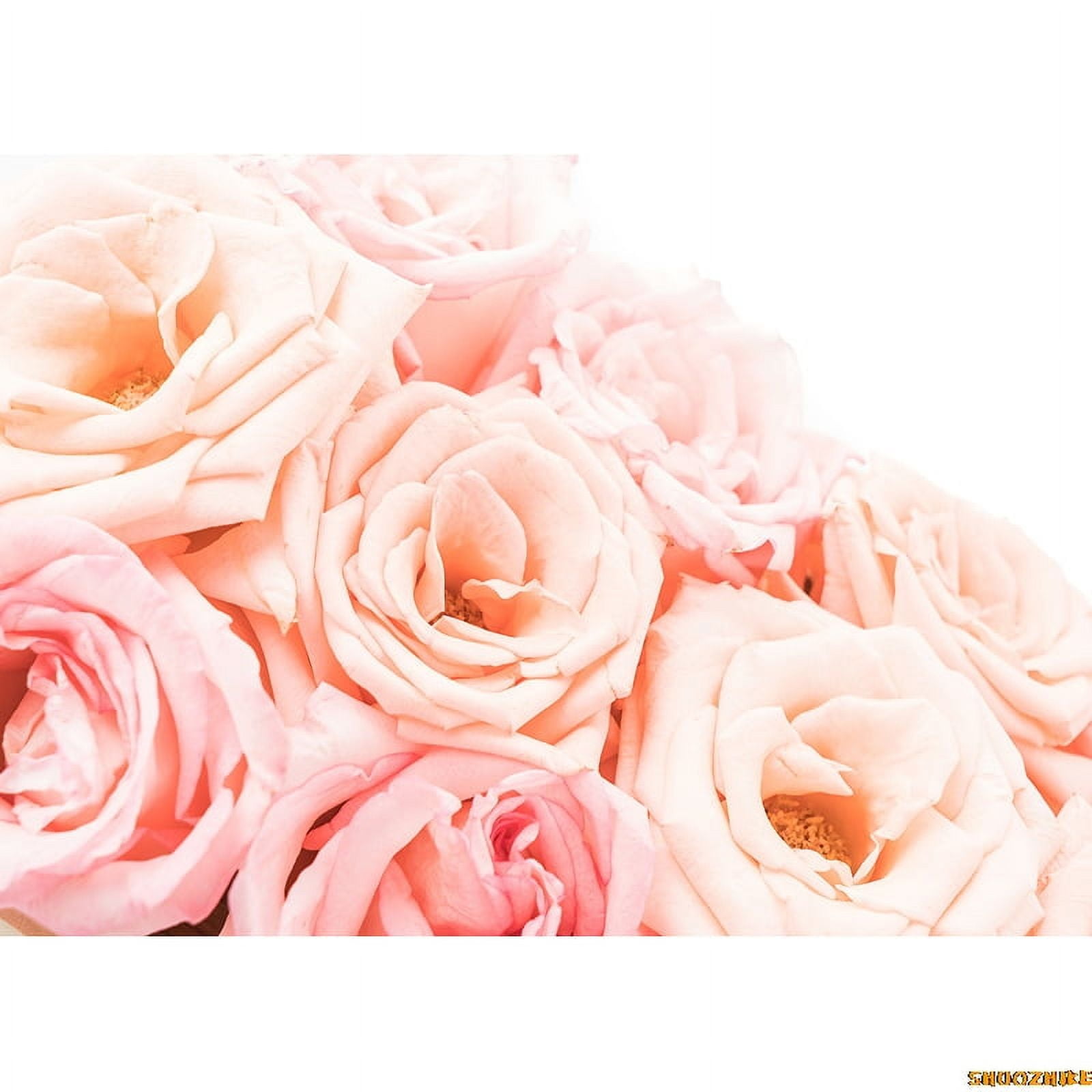 tic Wedding Photography Backdrops ration Props Flora Valtine's Day ...