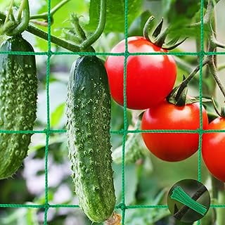 Garden Plant Trellis Netting - Ruroz 6 x 6 ft Trellis Net Polyester ...
