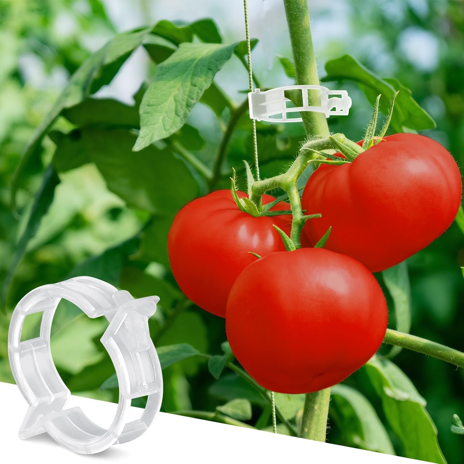 tomato clips for string trellis, plant support clips, plastic trellis ...