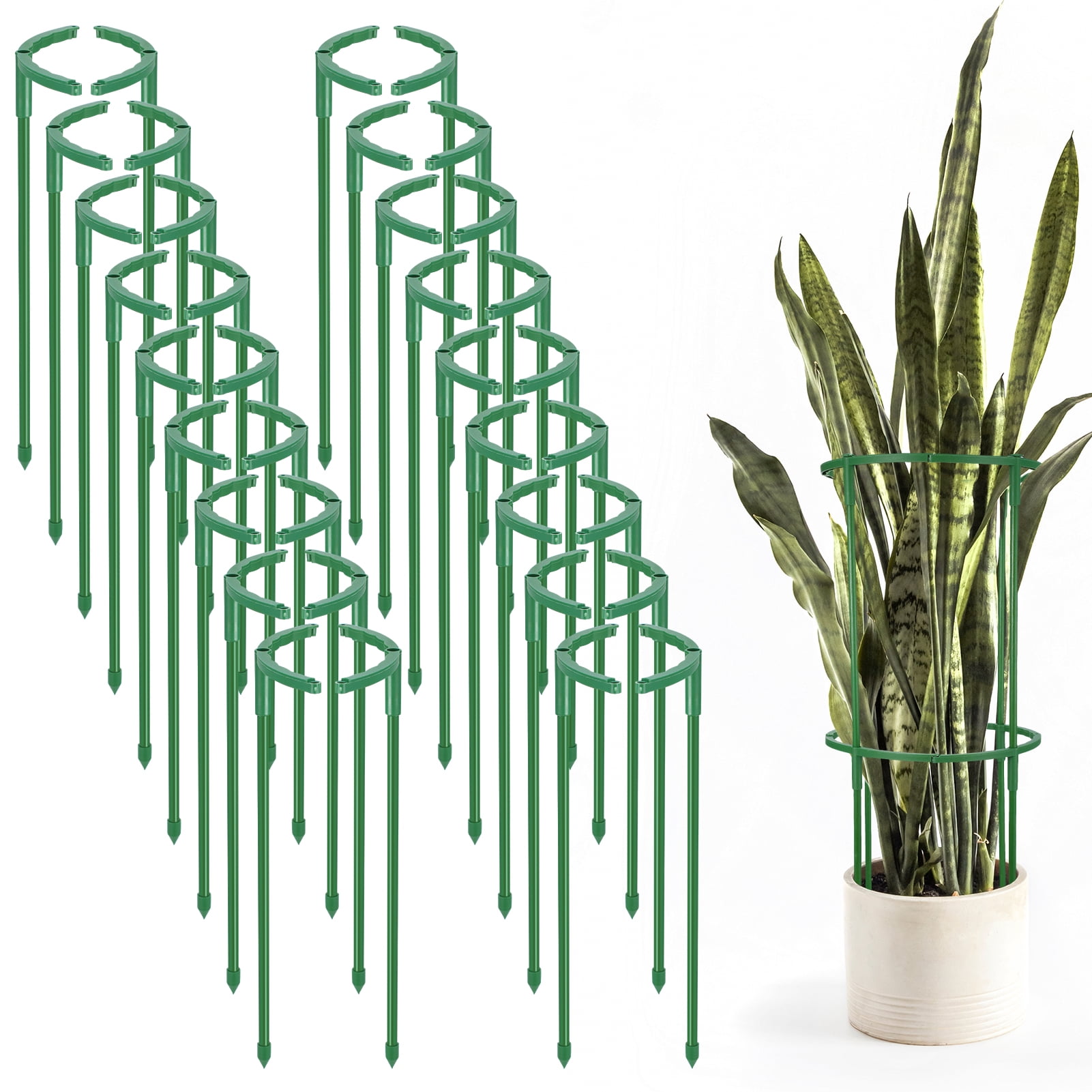 topjuju 36 Pcs Plant Support Stakes, Half Round Plant Support ...