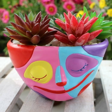 Fun and Colorful Unique Muggle Face Resin Succulent Plant Planter Pot ...