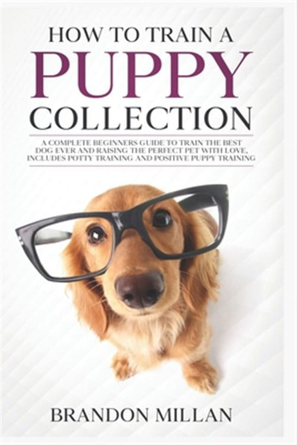 How to train a Puppy, Collection: A complete beginners guide to train ...