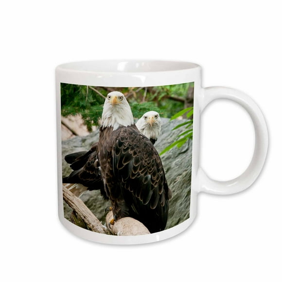Eagles Coffee Mugs