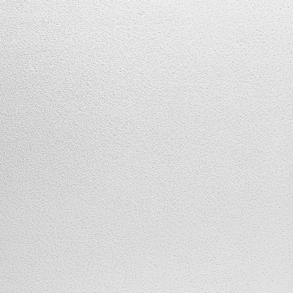 uDecor Arena 2x2 Acoustical Ceiling Tile - Box of 10 - Fire-Rated White ...