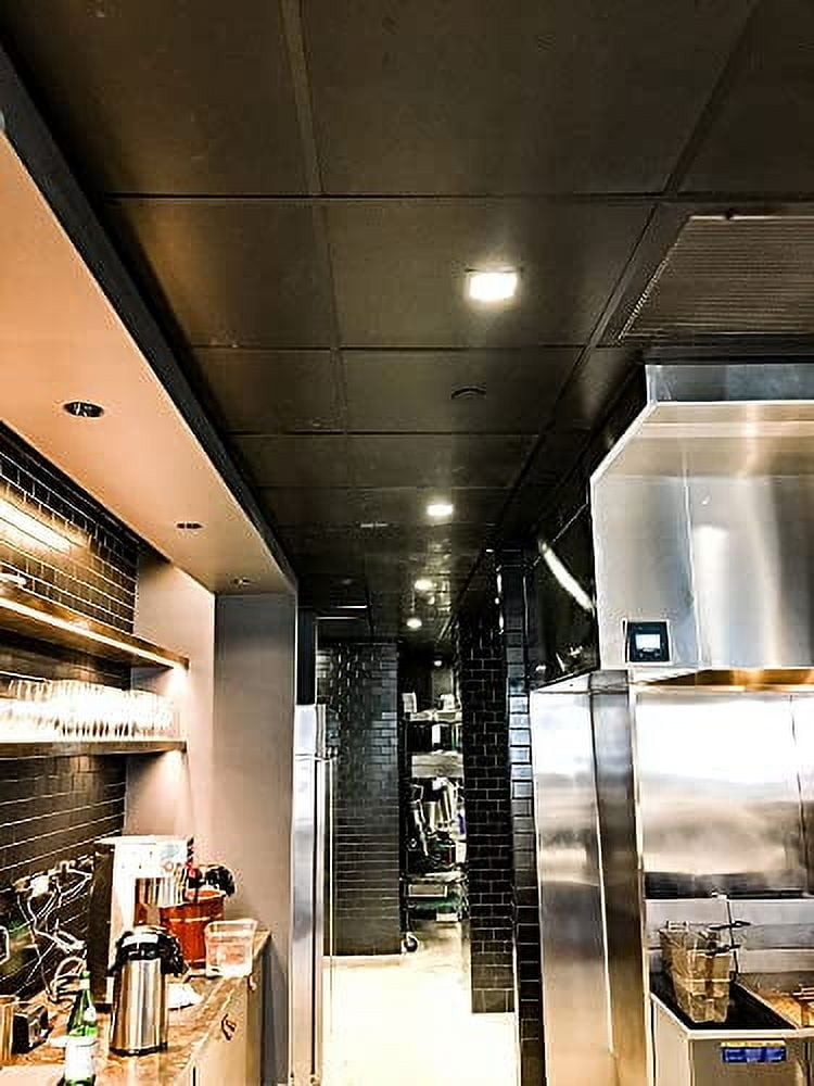 uDecor DuraClean Smooth Black 2x2 Vinyl Ceiling Tile - Box of 10 ...