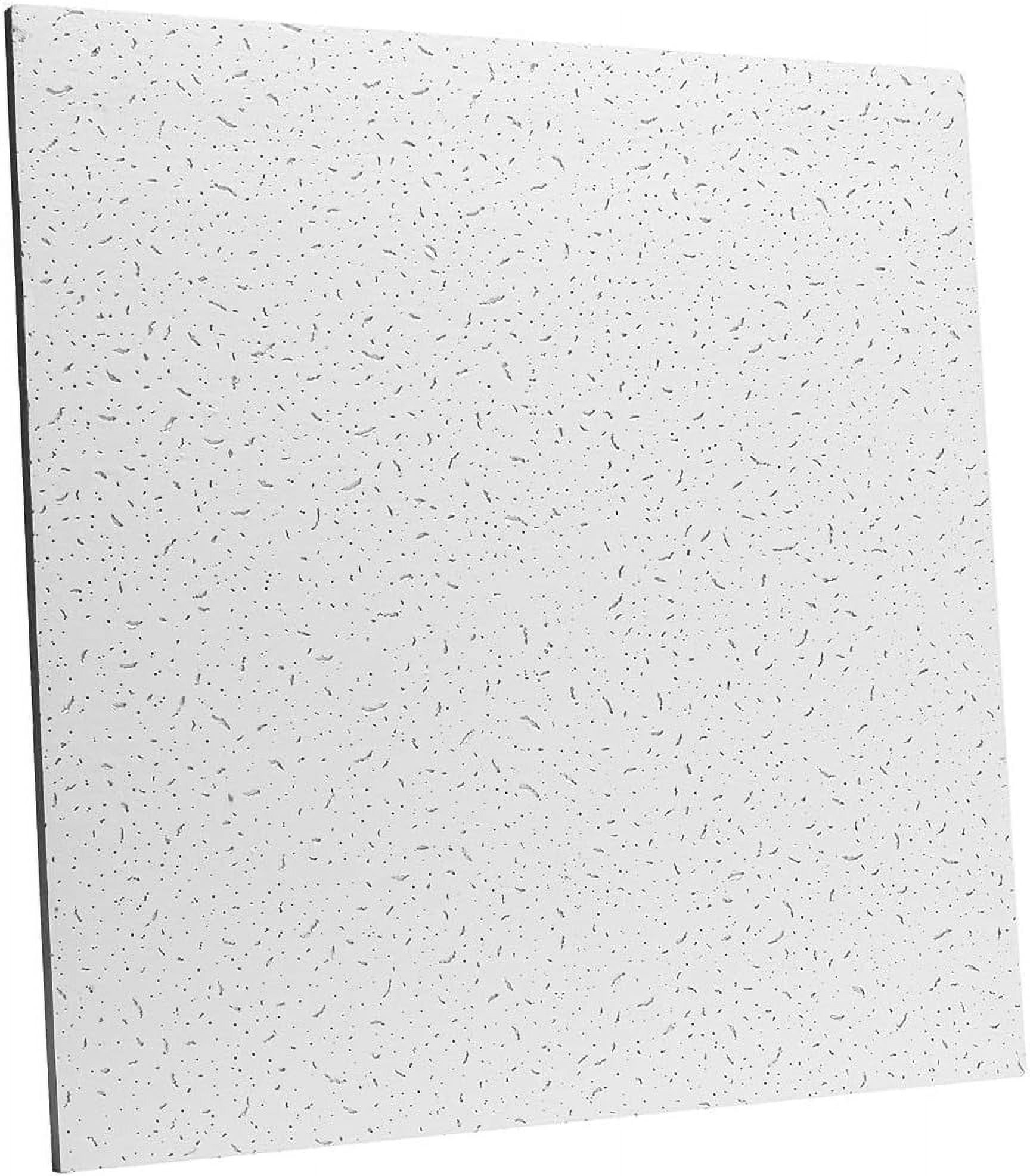 uDecor Iconic Petra 2x2 Mineral Fiber Ceiling Tile - Box of 10, White ...