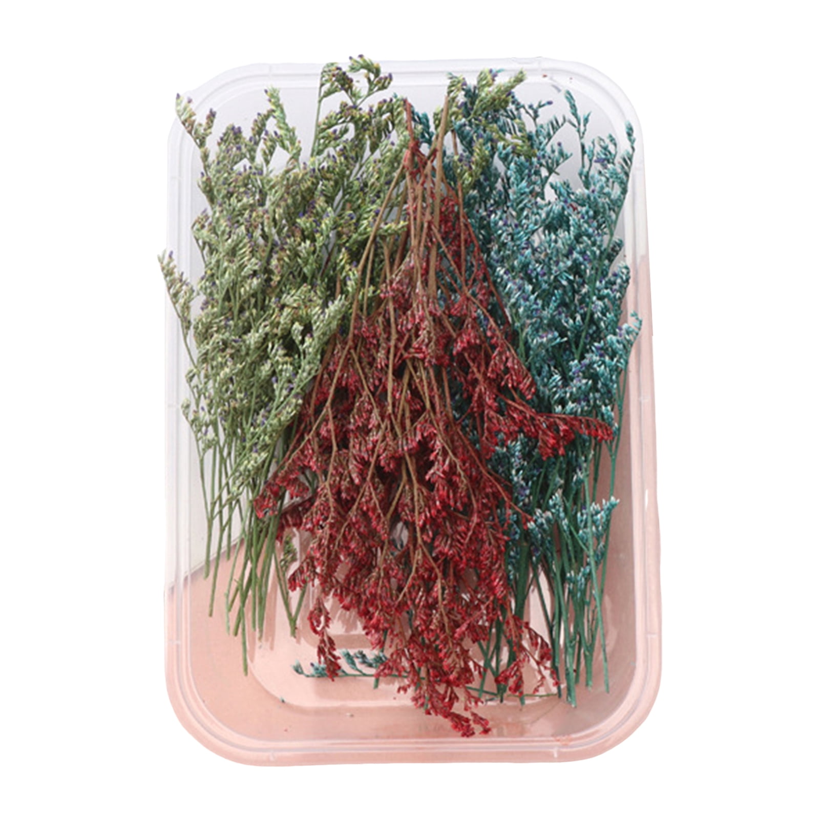 uawhw Preserved Flower,Dried Flowers Kit Real Natural Flowers Bulk ...