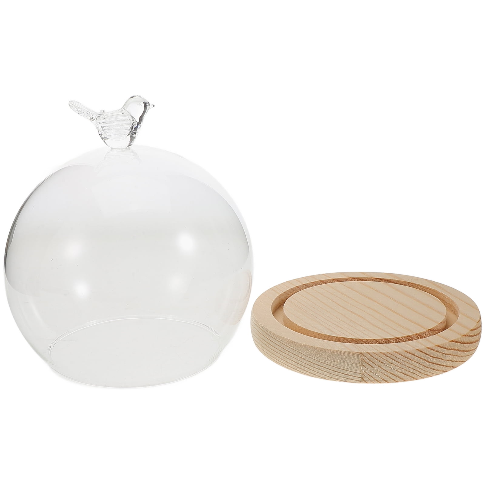 unbranded 1 Set Glass Display Dome Cloche With Wood Base Display Dome ...