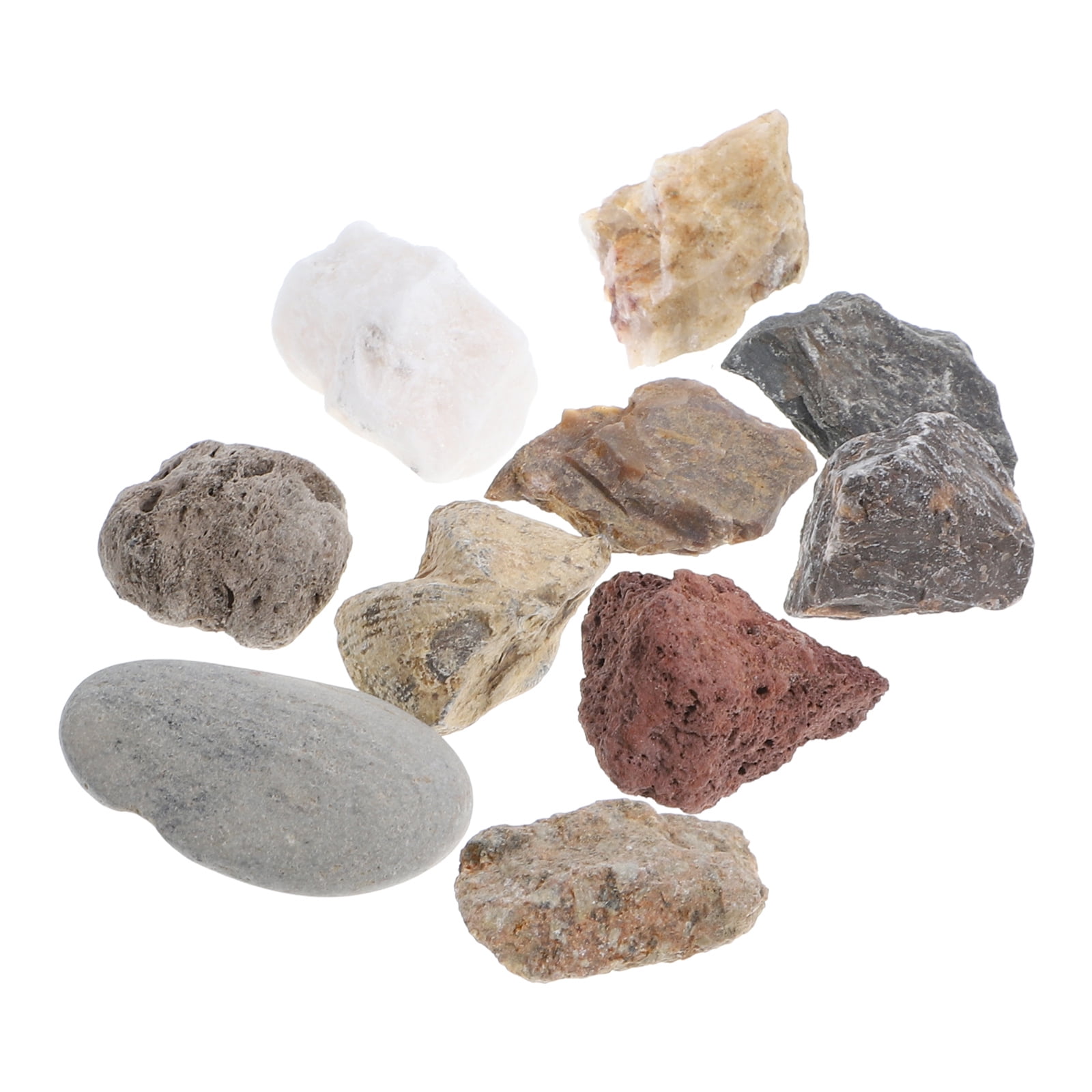 unbranded 1 Set Introductory Rock Collection Box For Kids Organized And ...
