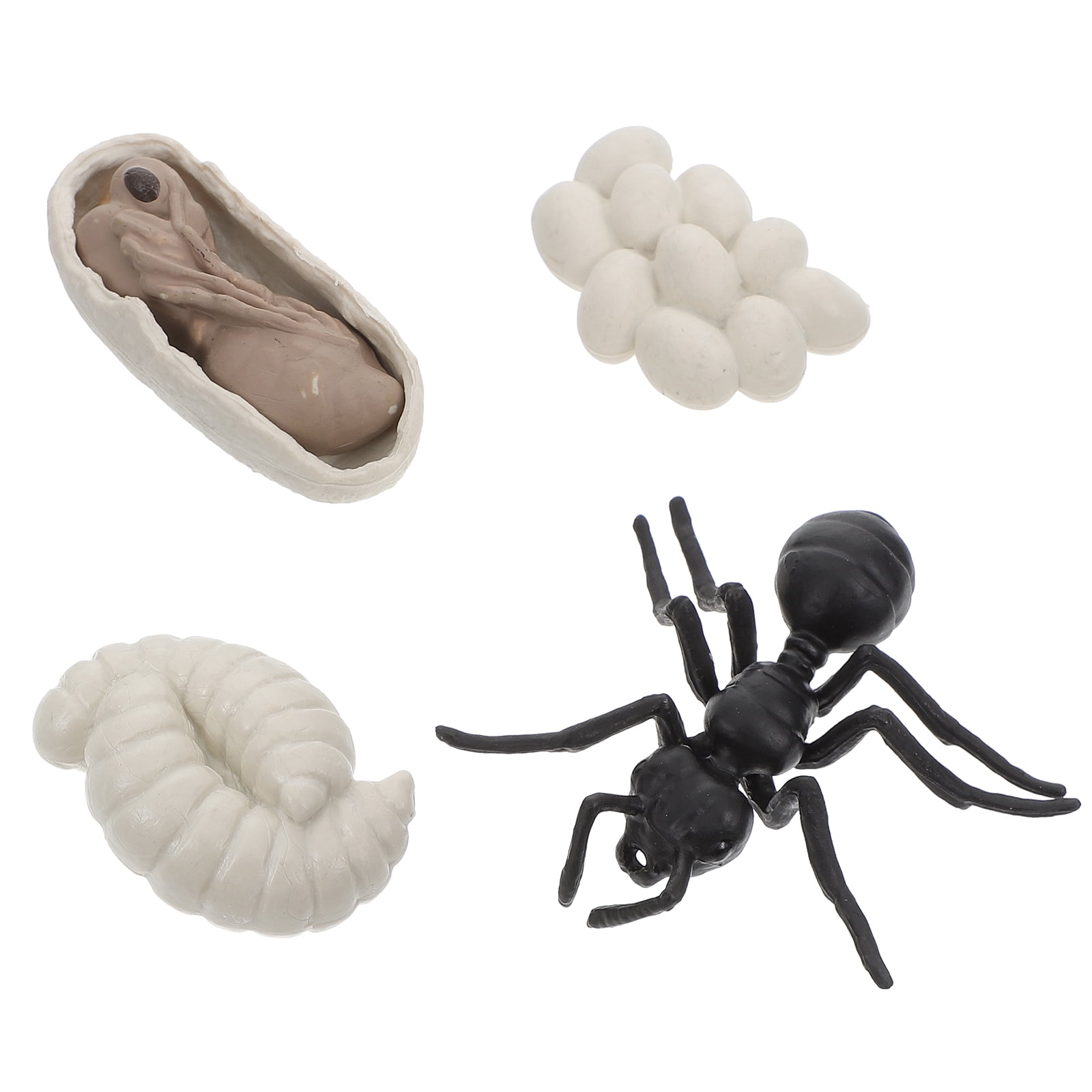 unbranded 1 Set Realistic Growth Models Worker Ants Display Ornament ...