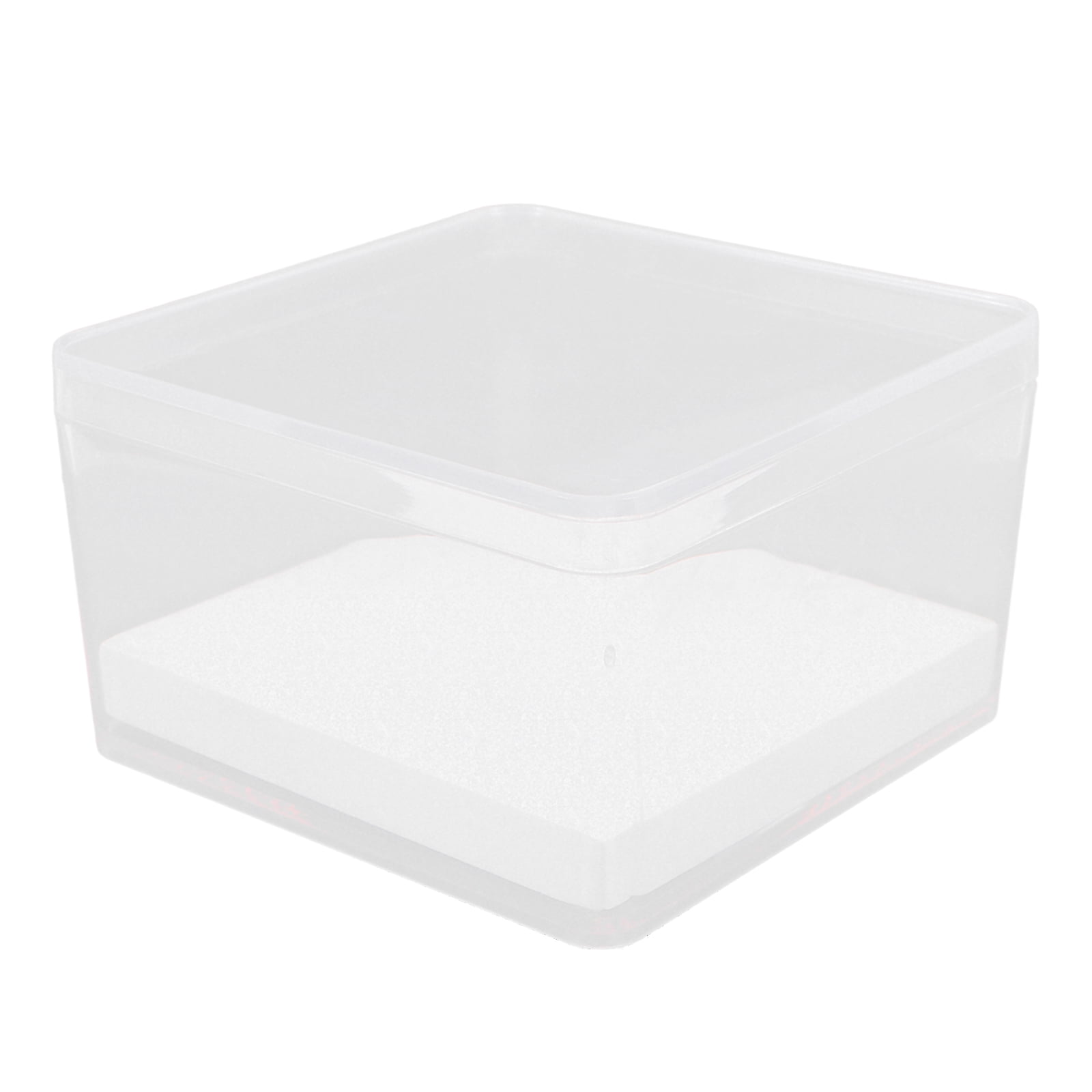 unbranded 1 Set Transparent Insect Display Case Miniature Specimen Box ...