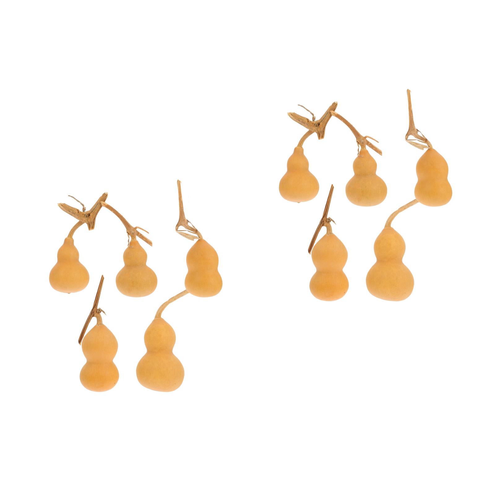 unbranded 10 pcs Dried Gourds Crafts Gourd Ornament DIY Painting Dried Bottle Gourd Desktop ...