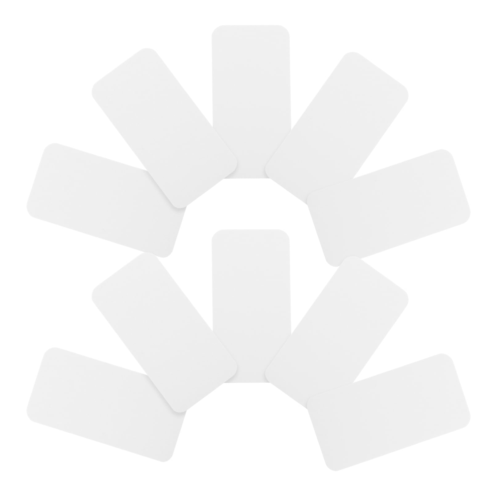 unbranded 100pcs Insect Pinning Specimen Display Insect Specimen Holder ...