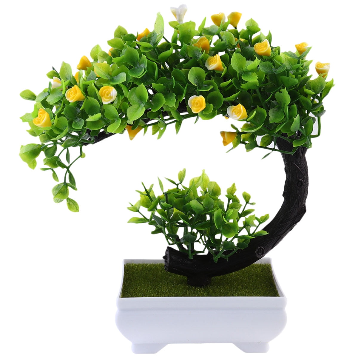 Grap Tree