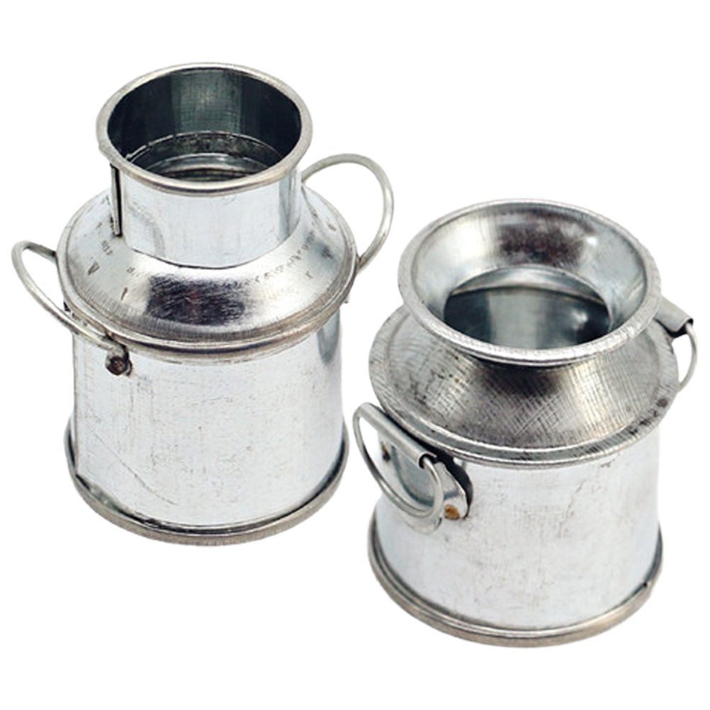 unbranded 2 Pcs Oat Milk Carton Water Bottles Mini Flower Bucket House ...