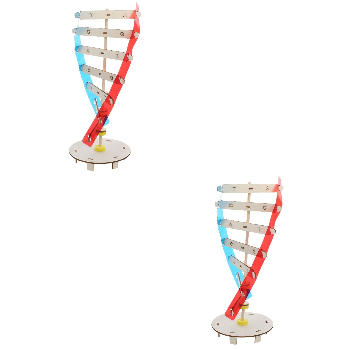 unbranded 2pcs Plastic DNA Models Double Helix Model Components Science ...