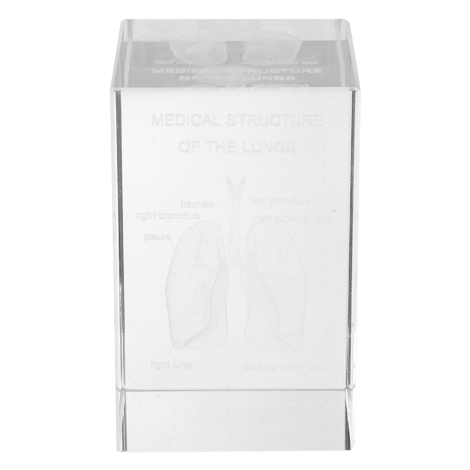 unbranded 3d Human Lung Anatomical Model Paperweight Crystal Glass Cube ...