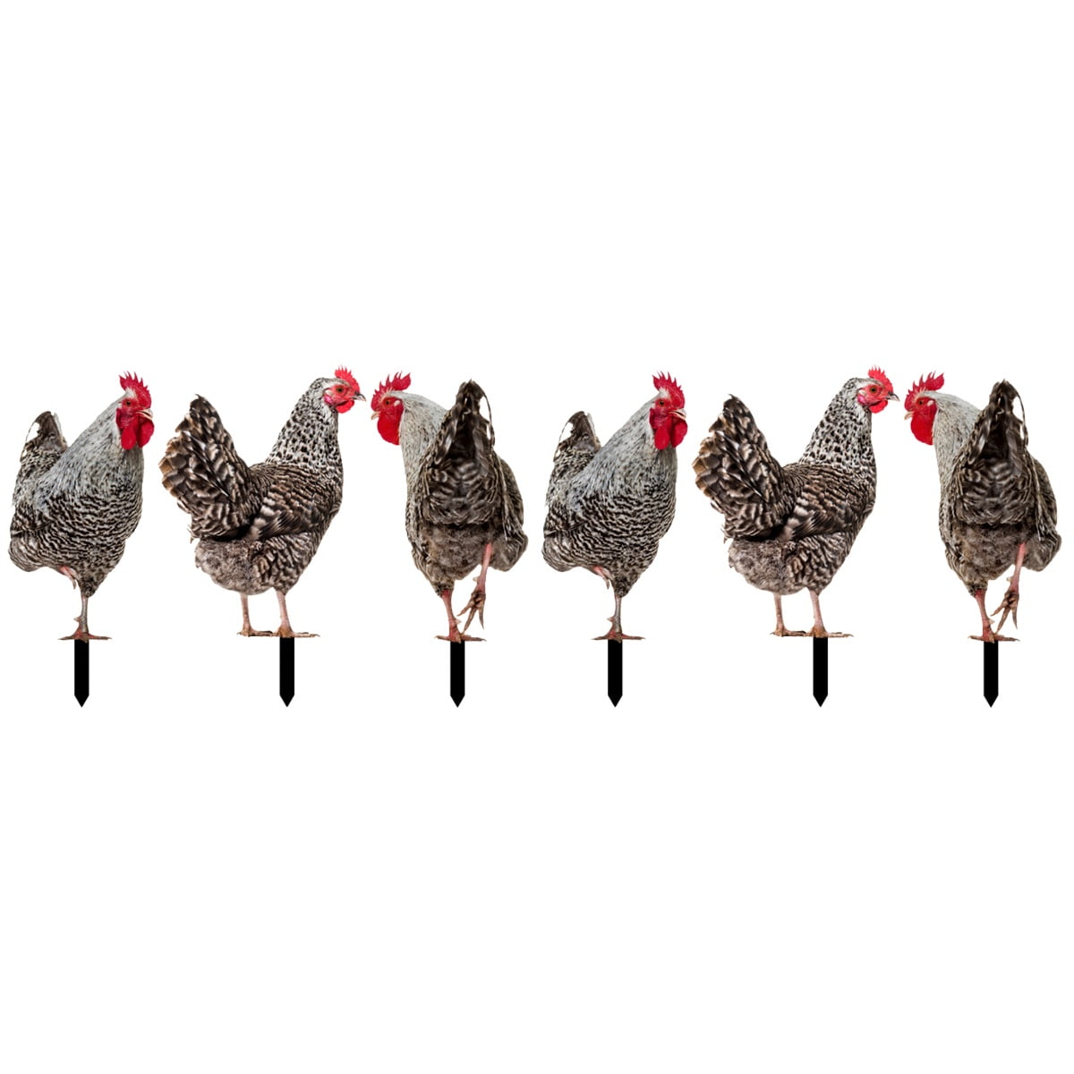 unbranded 6 Pcs Garden Lifelike Chicken Stake Chicken Stake Signs Yard ...