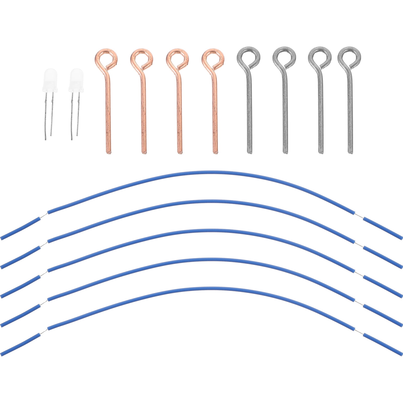 unbranded Battery Science Kit Fruit Experiment Device Juicer Lemon ...