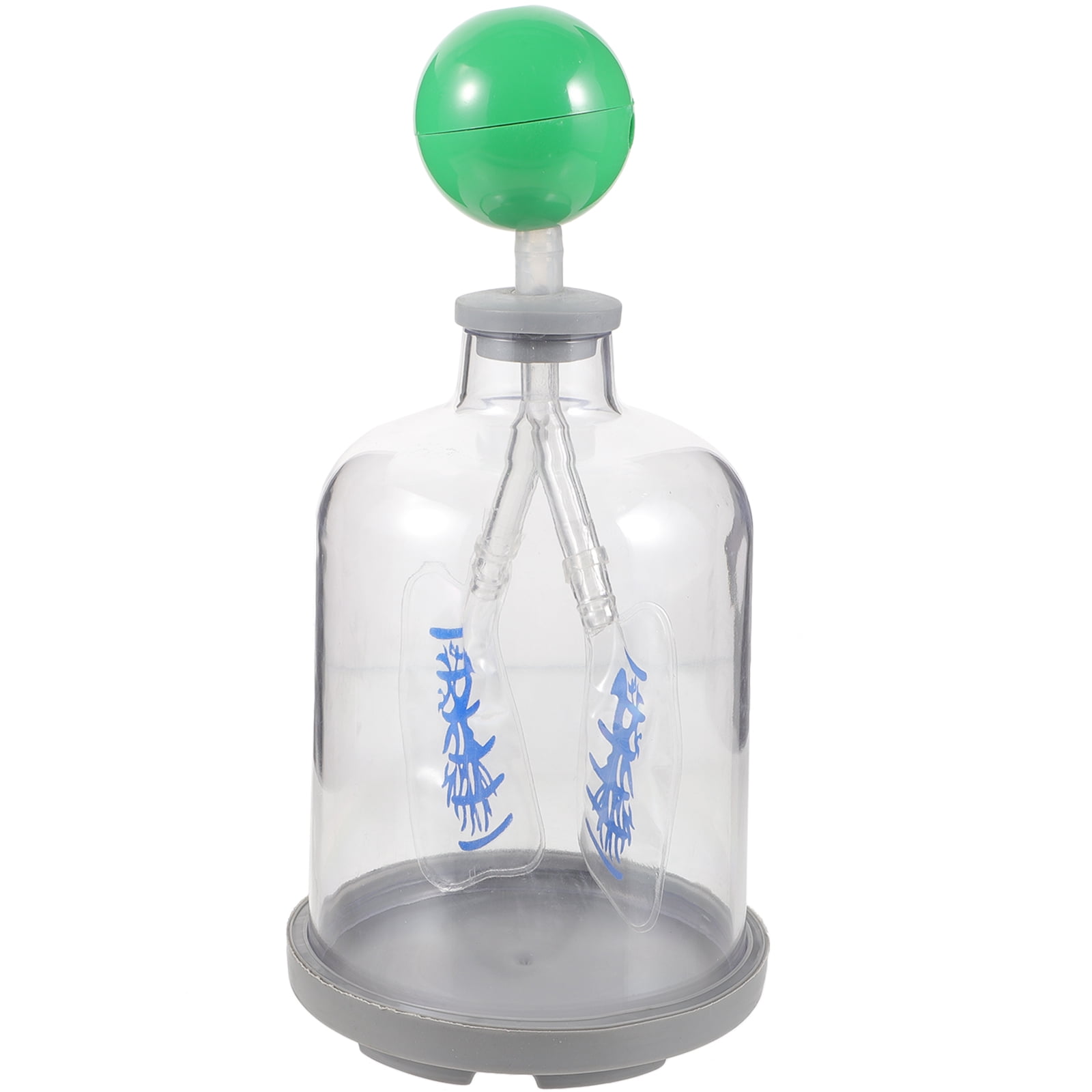 unbranded Breathe Lung Breathing Model Educational Teaching Awareness ...