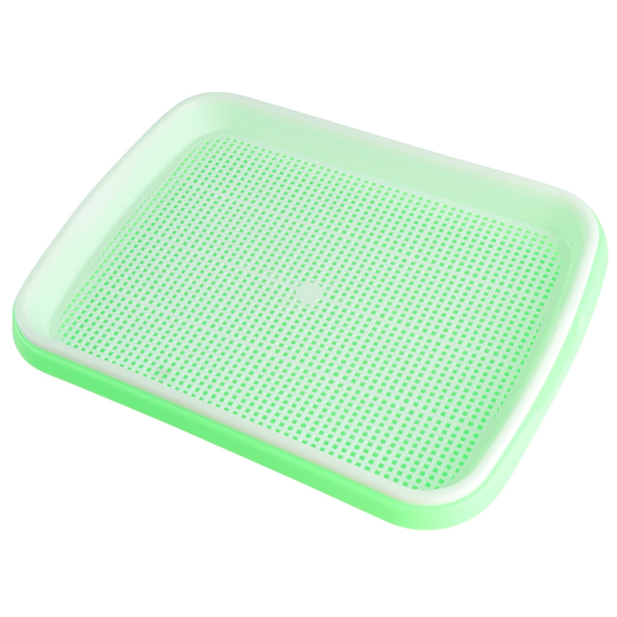 unbranded Cat Grass Growing Kit Microgreens Tray Jar Veggie with Lid ...