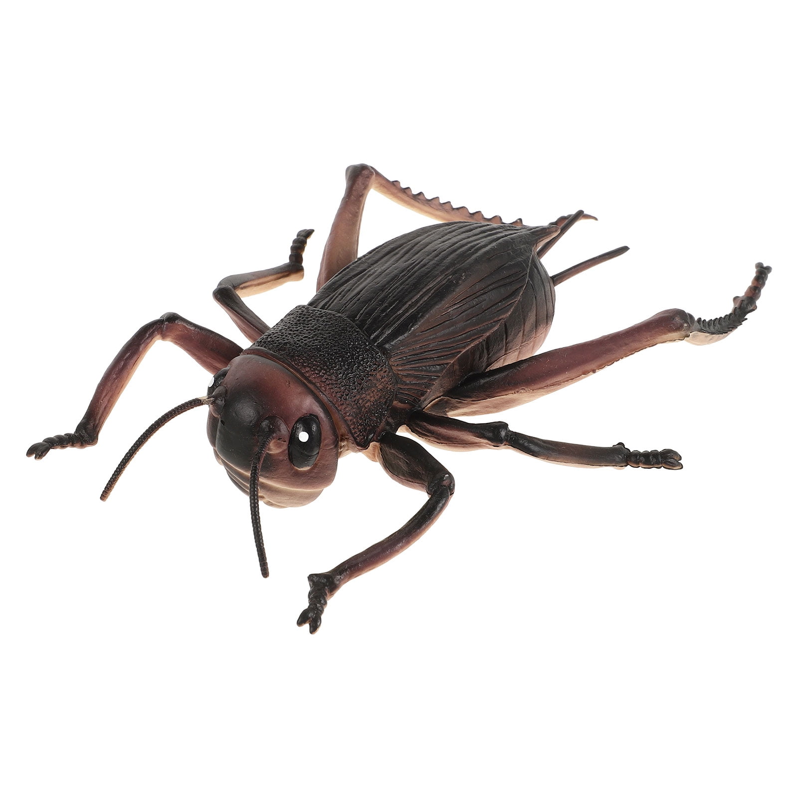 unbranded Fake Cricket Simulation Cricket Model Prank Cricket Faux ...