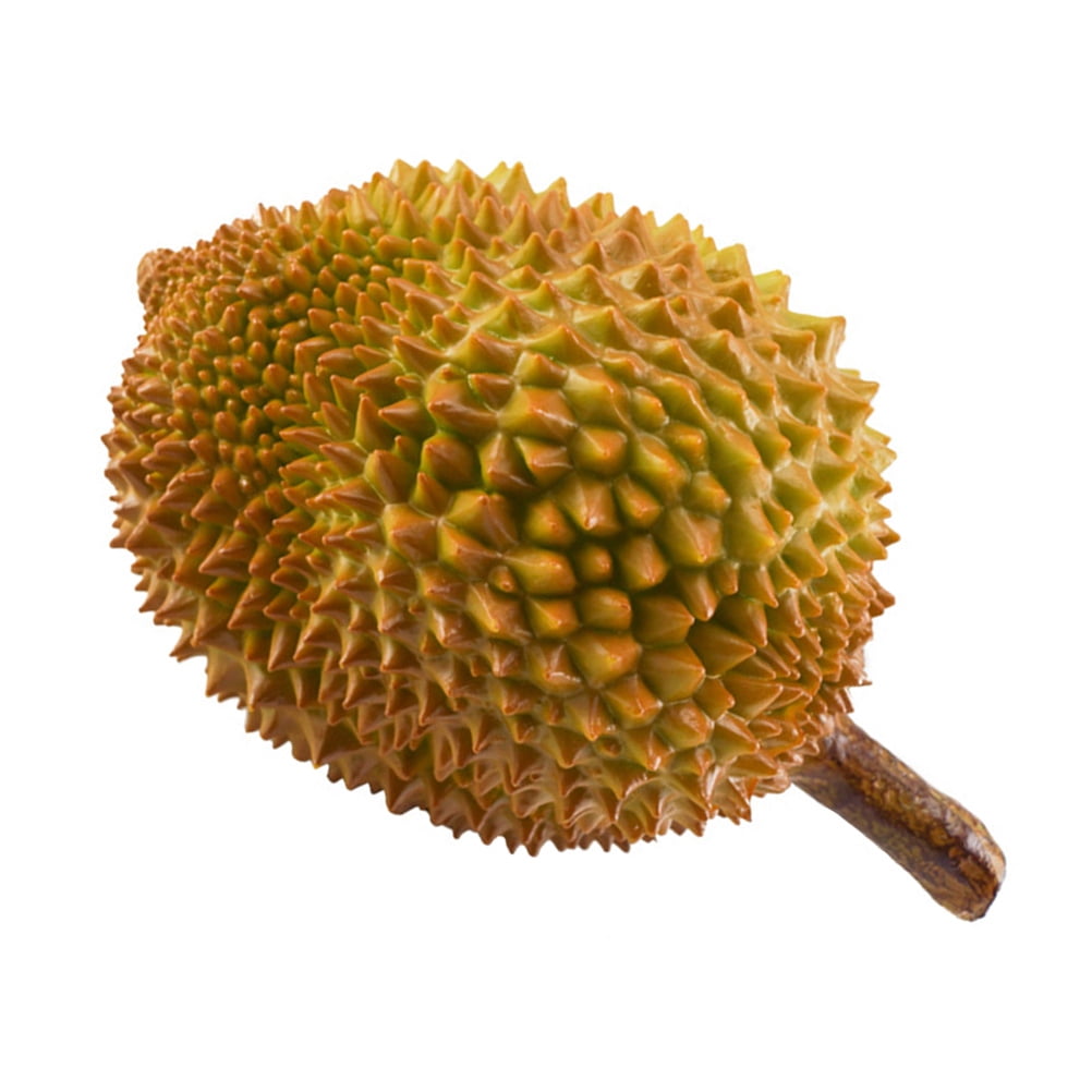 unbranded Fake Fruit Artificial Durian Fruit Durian Decoration for Home ...