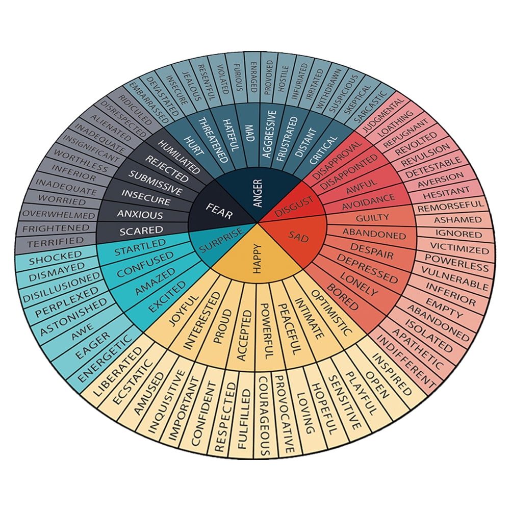 unbranded Feelings Wheel Chart Stickers - Vinyl Emotion Pie Chart ...