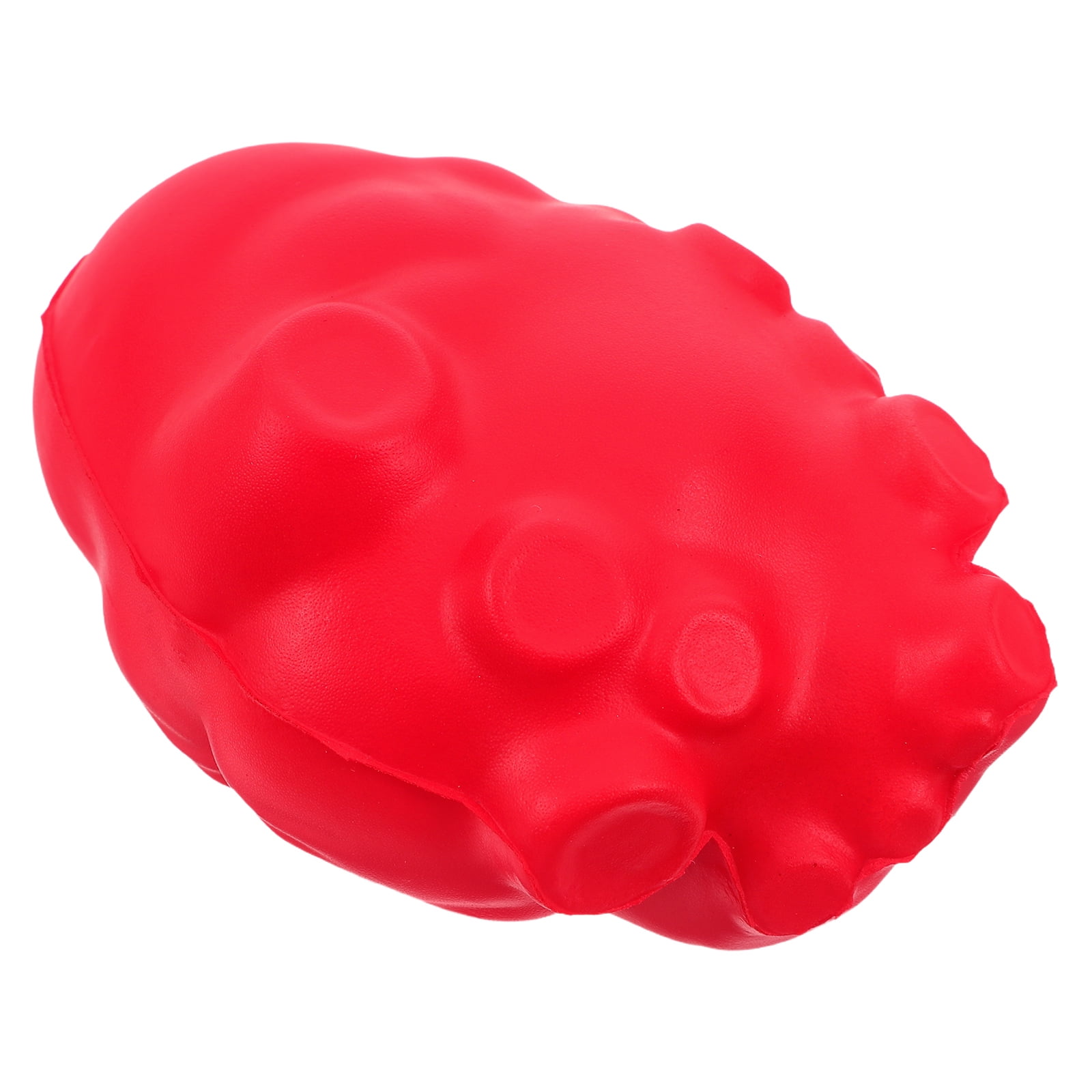 unbranded Human Organ Model PU Foam Heart Educational Anatomy Student ...