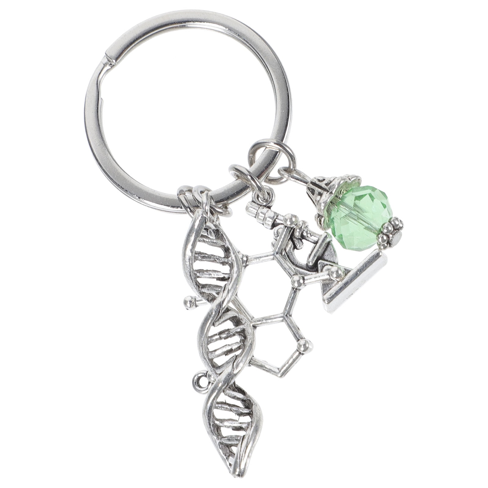 Biology Theme Key Chain Silver Alloy Perfect Gift for Any Occasion 3.5 ...