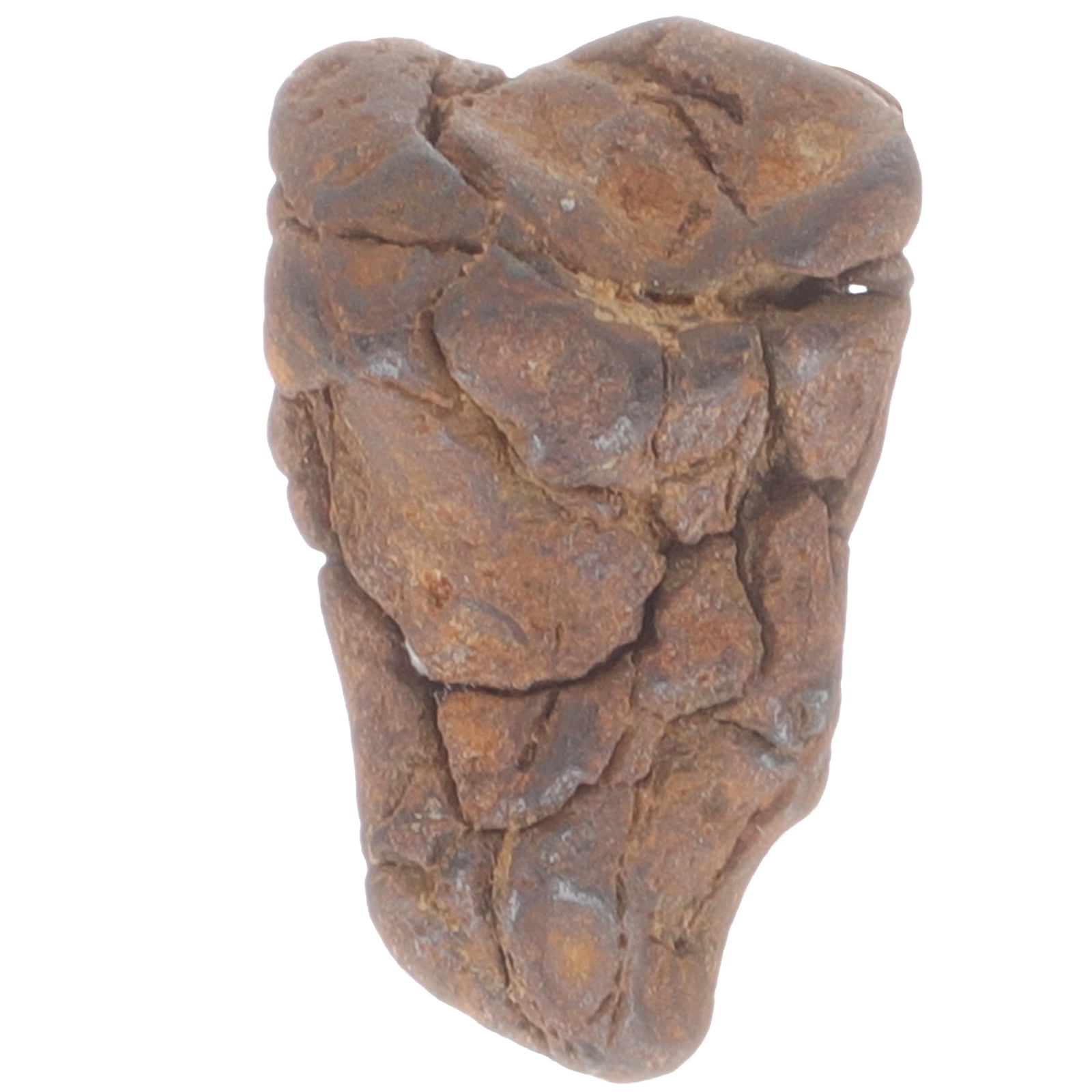 unbranded Meteorolite Table Ornament Meteorolite Specimen Ornament ...