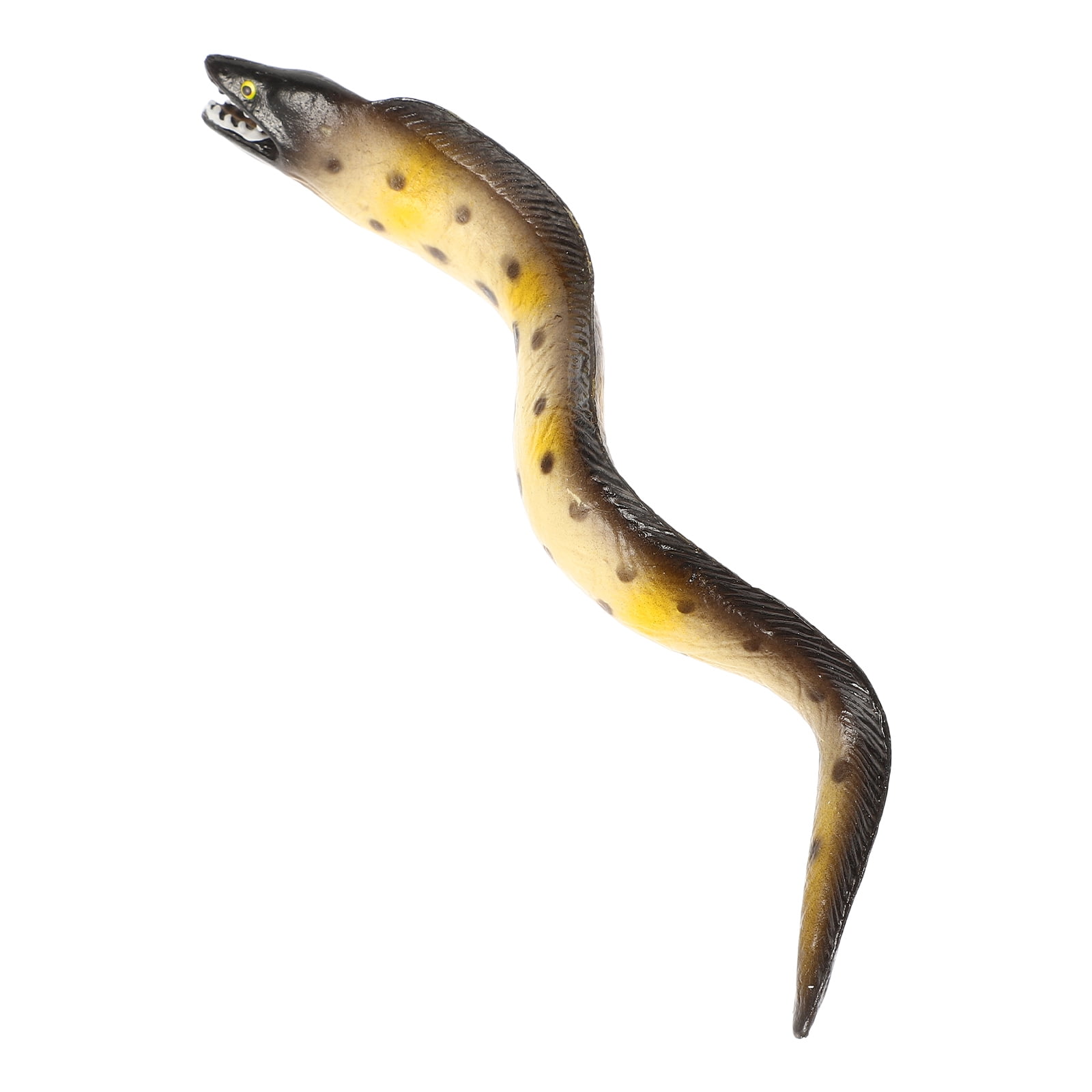RENACLIPY Compact Beige Sea Eel Figurine Ocean Themed Decor for Home ...
