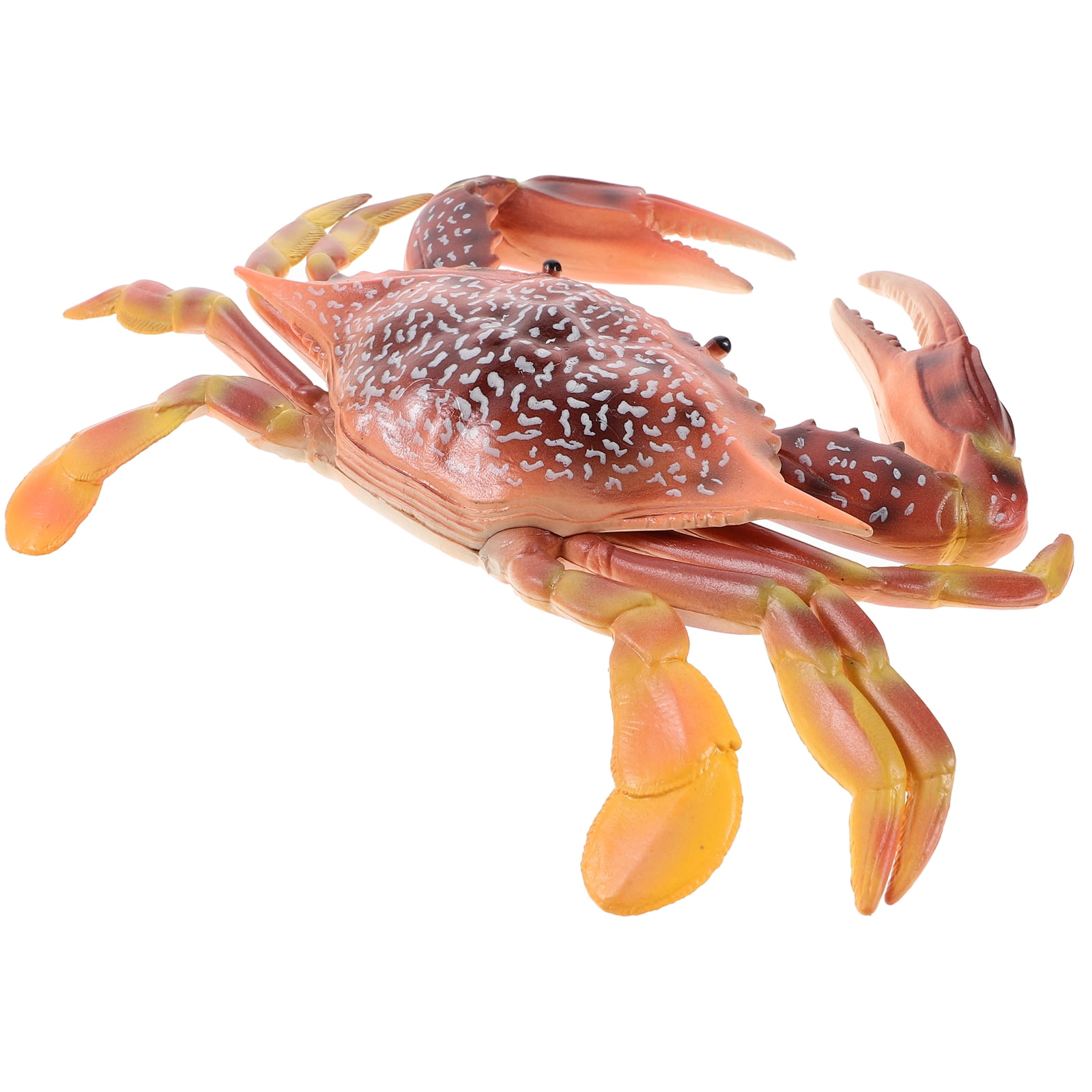 unbranded Playset Model Crab Plastic Decor Simulation Educational Child ...
