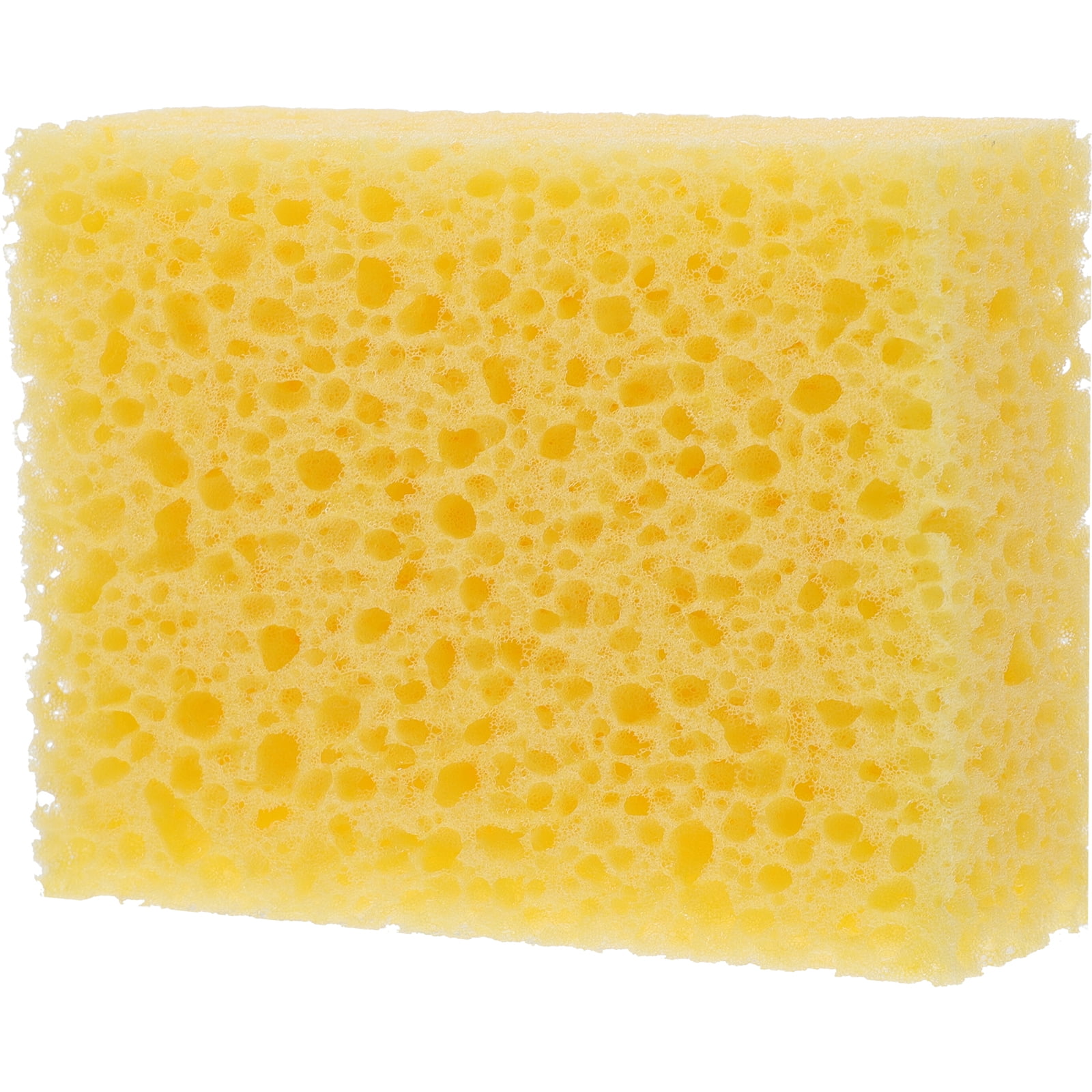 unbranded Pottery Sponges for Clay Artist Paint Trays Epoxy Big Child ...