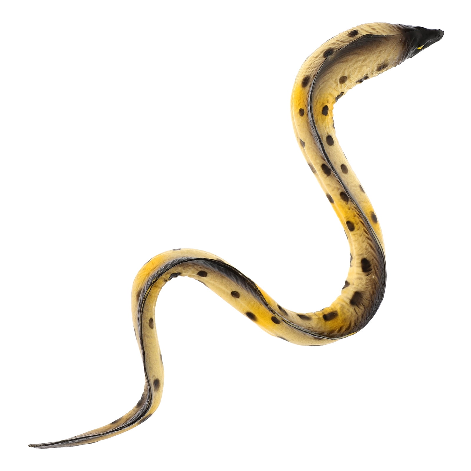 unbranded Realistic Artificial Sea Eel Lifelike Sea Animal Model Kids ...