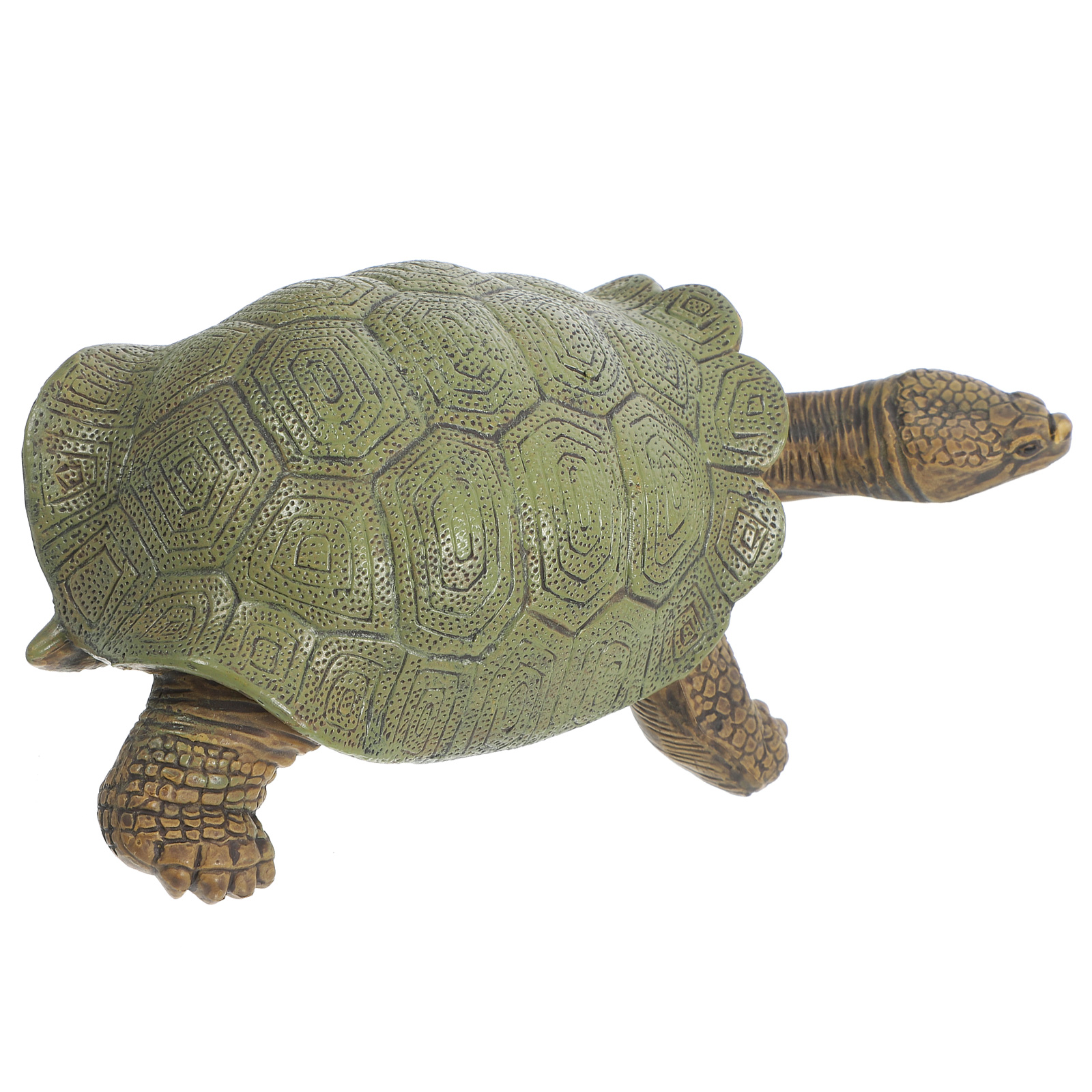 unbranded Realistic Turtle Figurine Fake Turtle Figure Simulated Animal ...