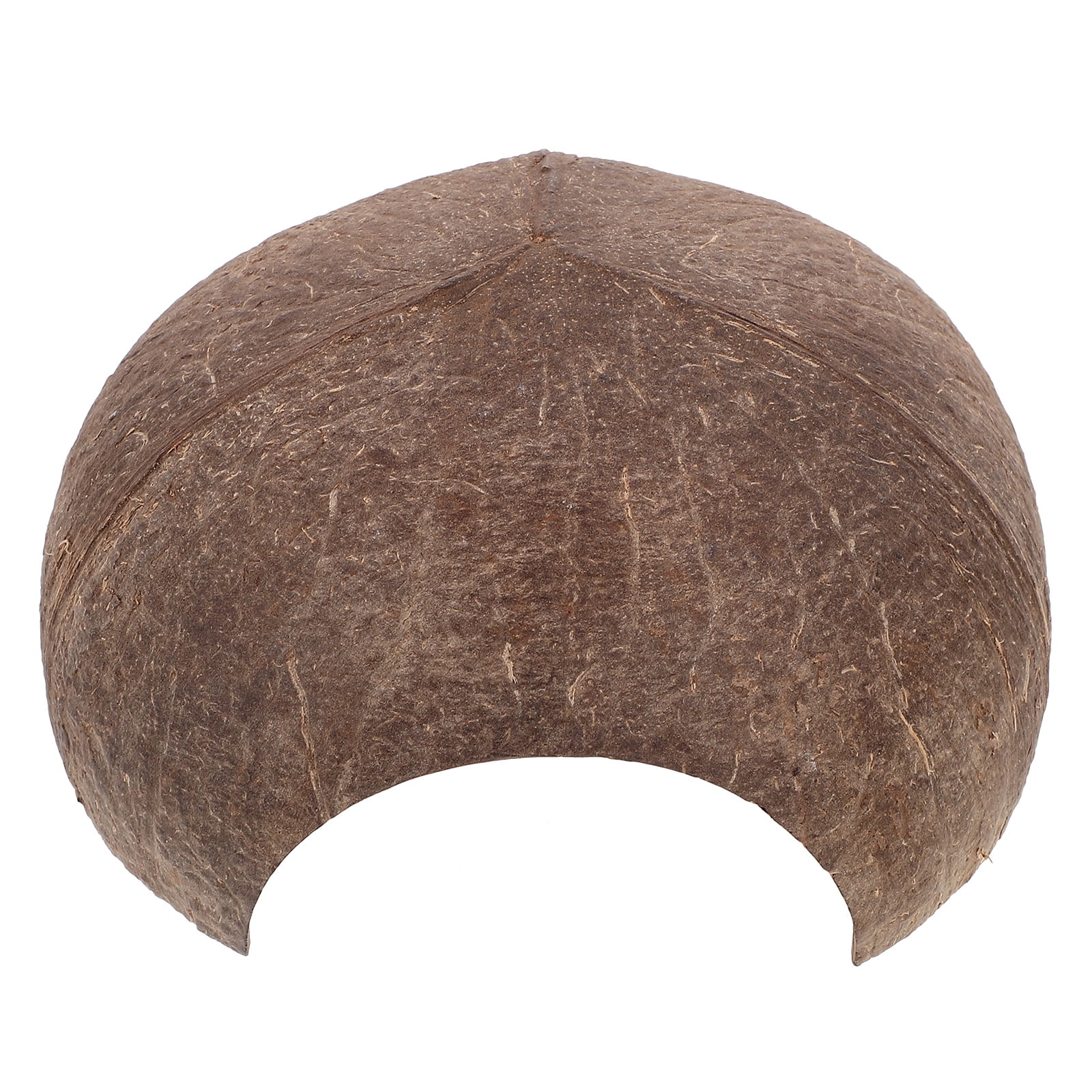 unbranded Reptile Hideout Lizard Spider Hiding Hut Spider Shelter ...